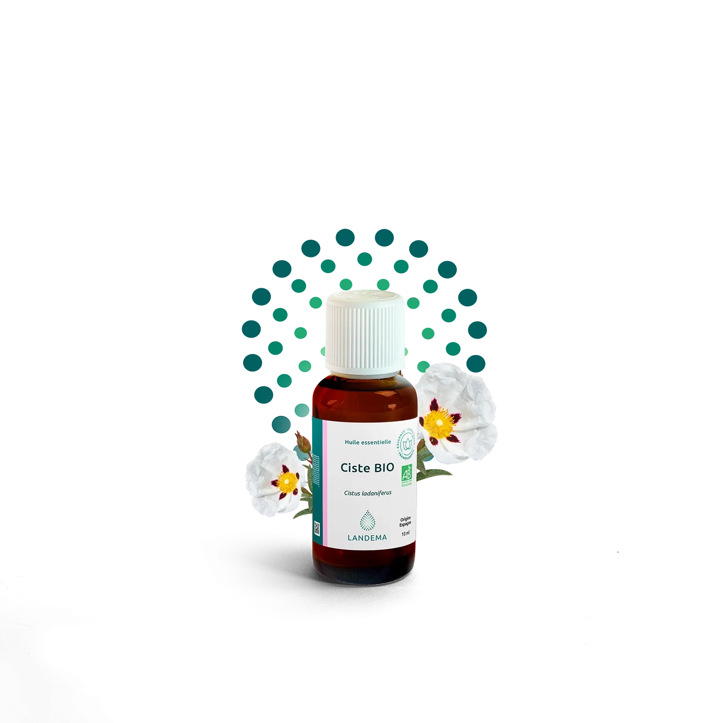 Huile Essentielle | Qualité et origine garanties